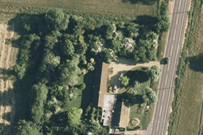 elysian fields vineyard