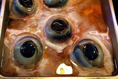 fish eyeball