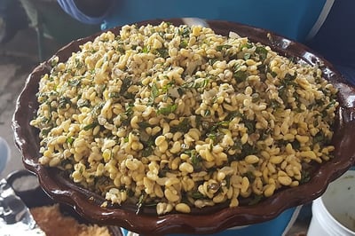 ant eggs dish