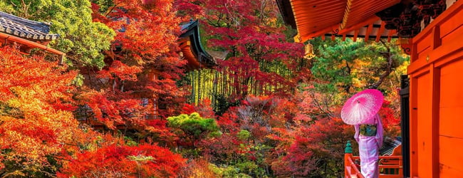 Japan 2026 | Mapotic