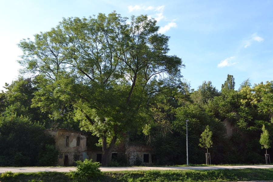 usedlost Malovanka - prehis.cz