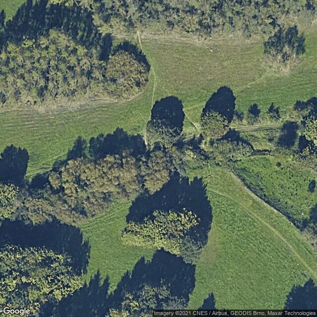 K2 Vrbové křoviny podél vodních toků - Botanická mapa - Divoká Šárka