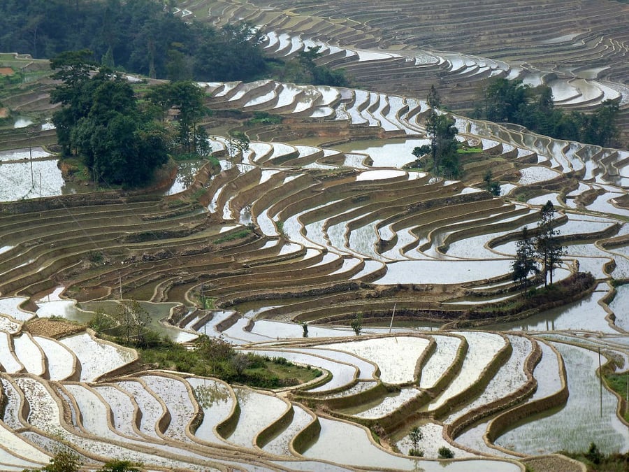 Cultural Landscape of Honghe Hani Rice Terraces - UNESCO Map | Mapotic