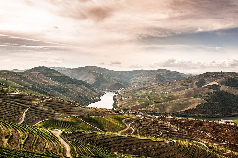 Alto Douro Wine Region - UNESCO Map | Mapotic
